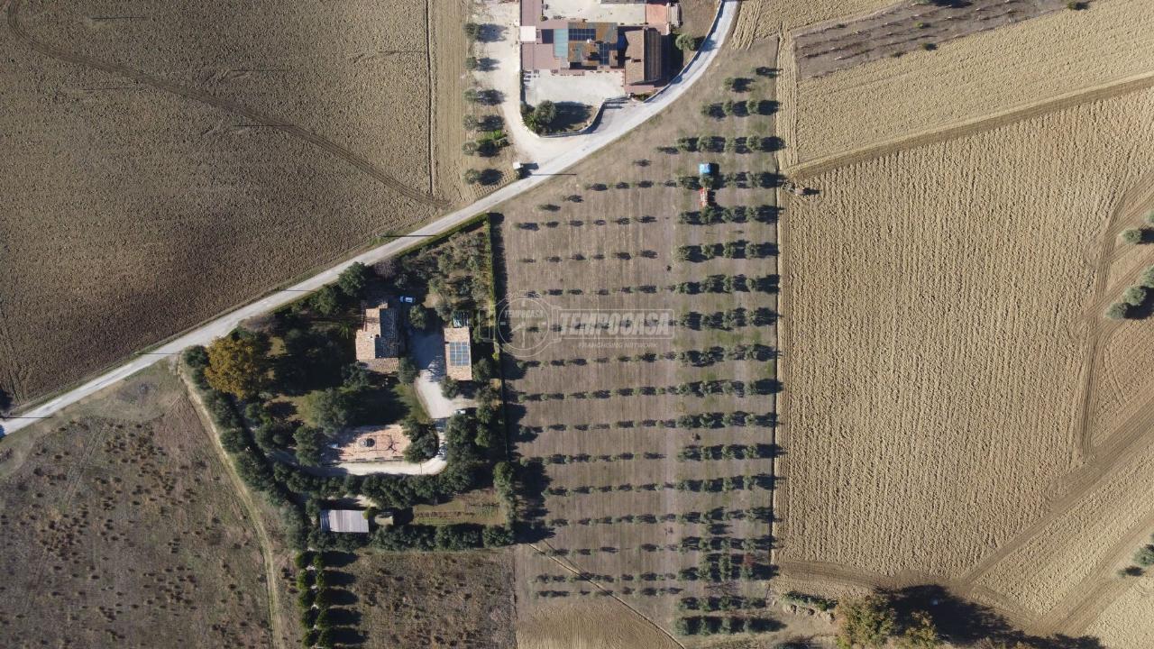 Terreno agricolo in vendita a Recanati