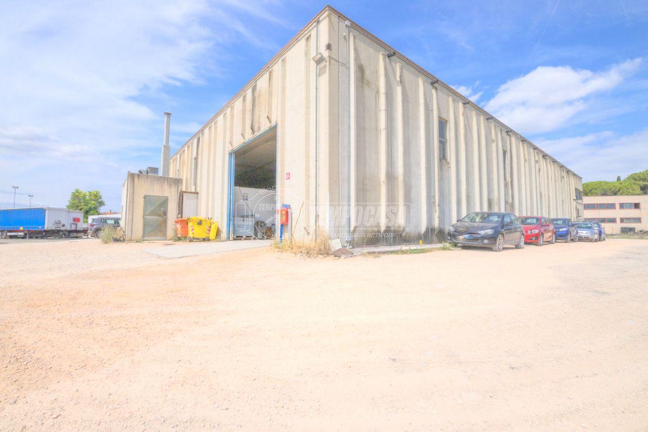 Capannone in vendita a Montecassiano