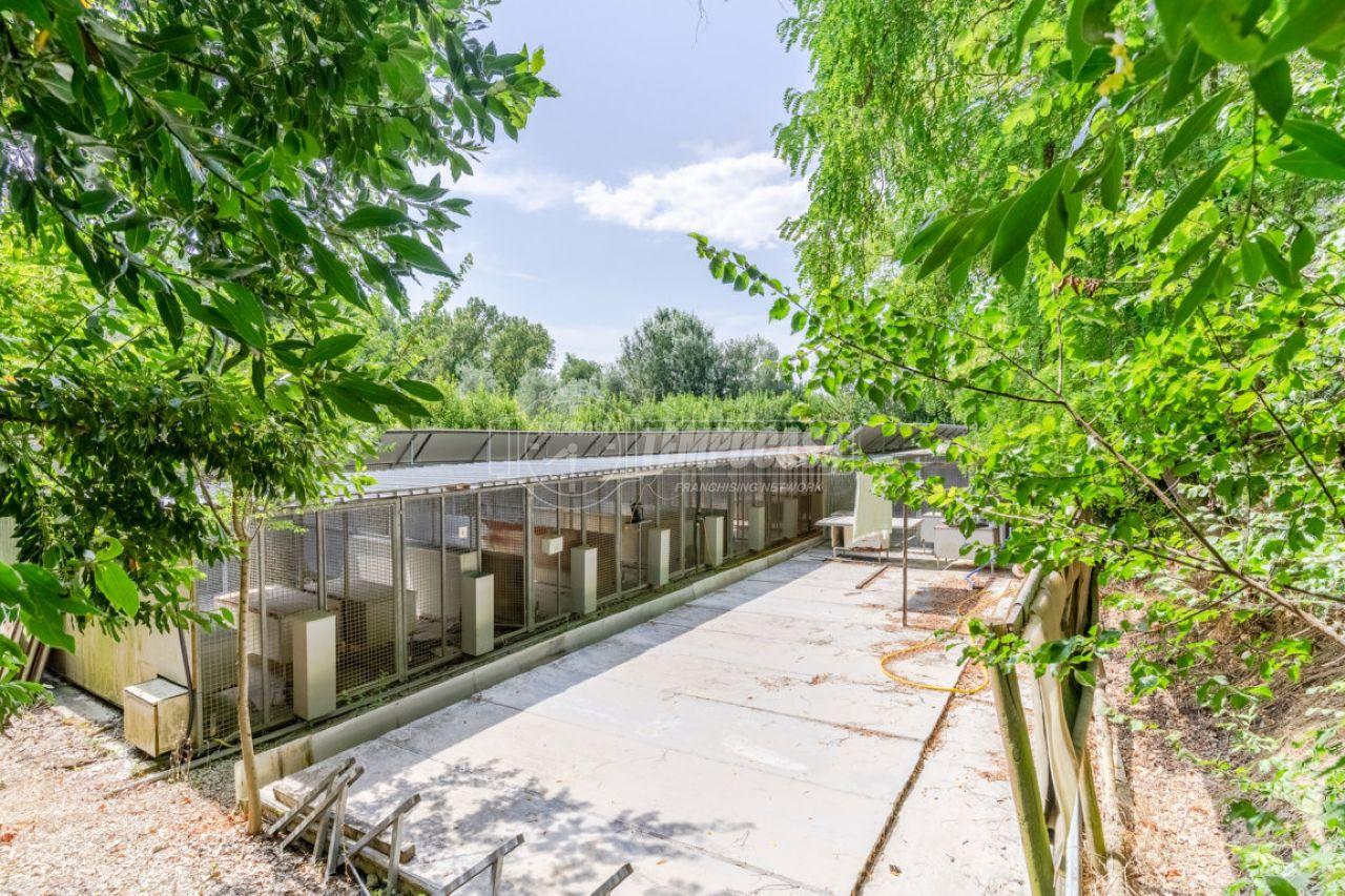 Esercizio commerciale in vendita a Morrovalle