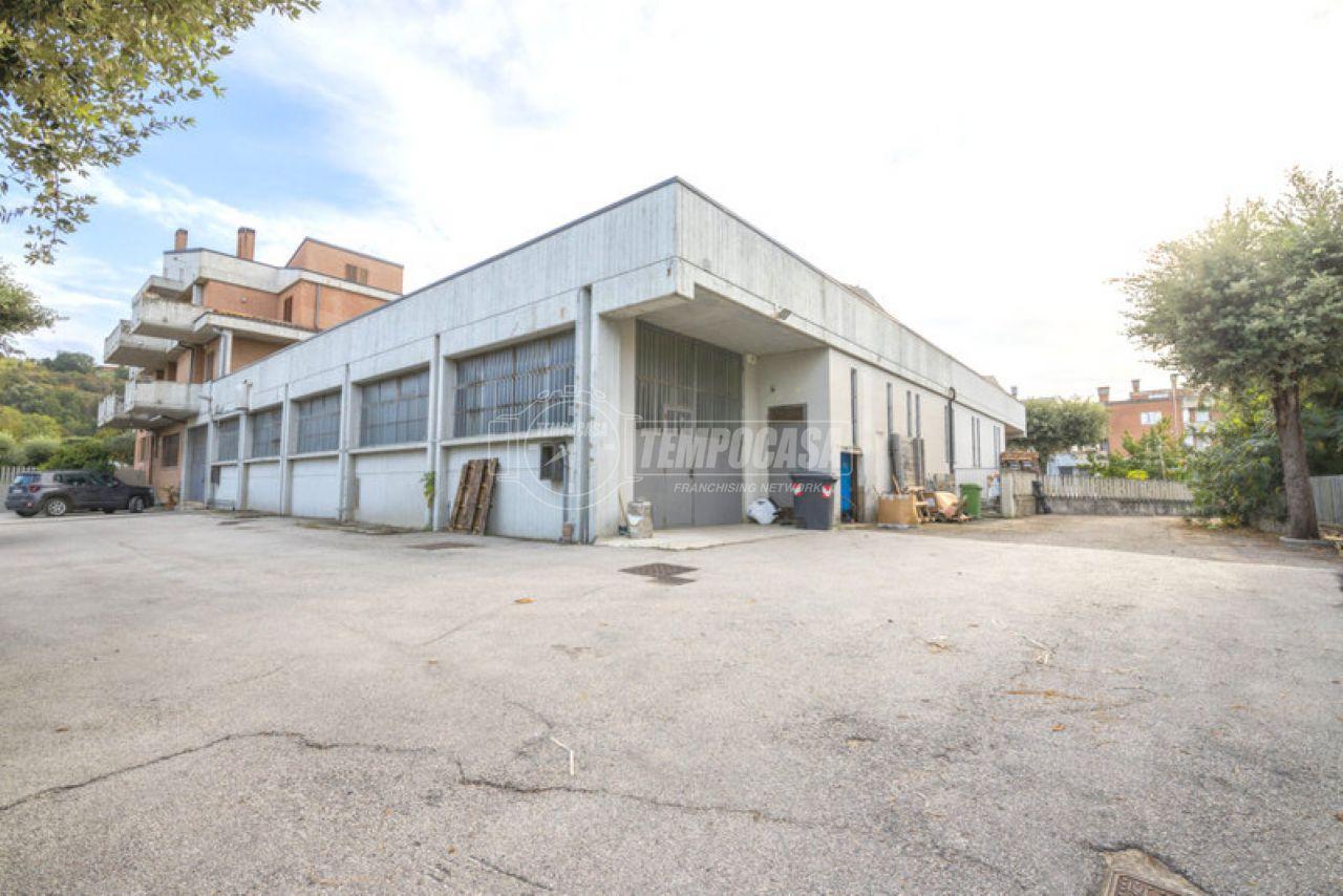 Laboratorio in affitto a Sant'Elpidio A Mare