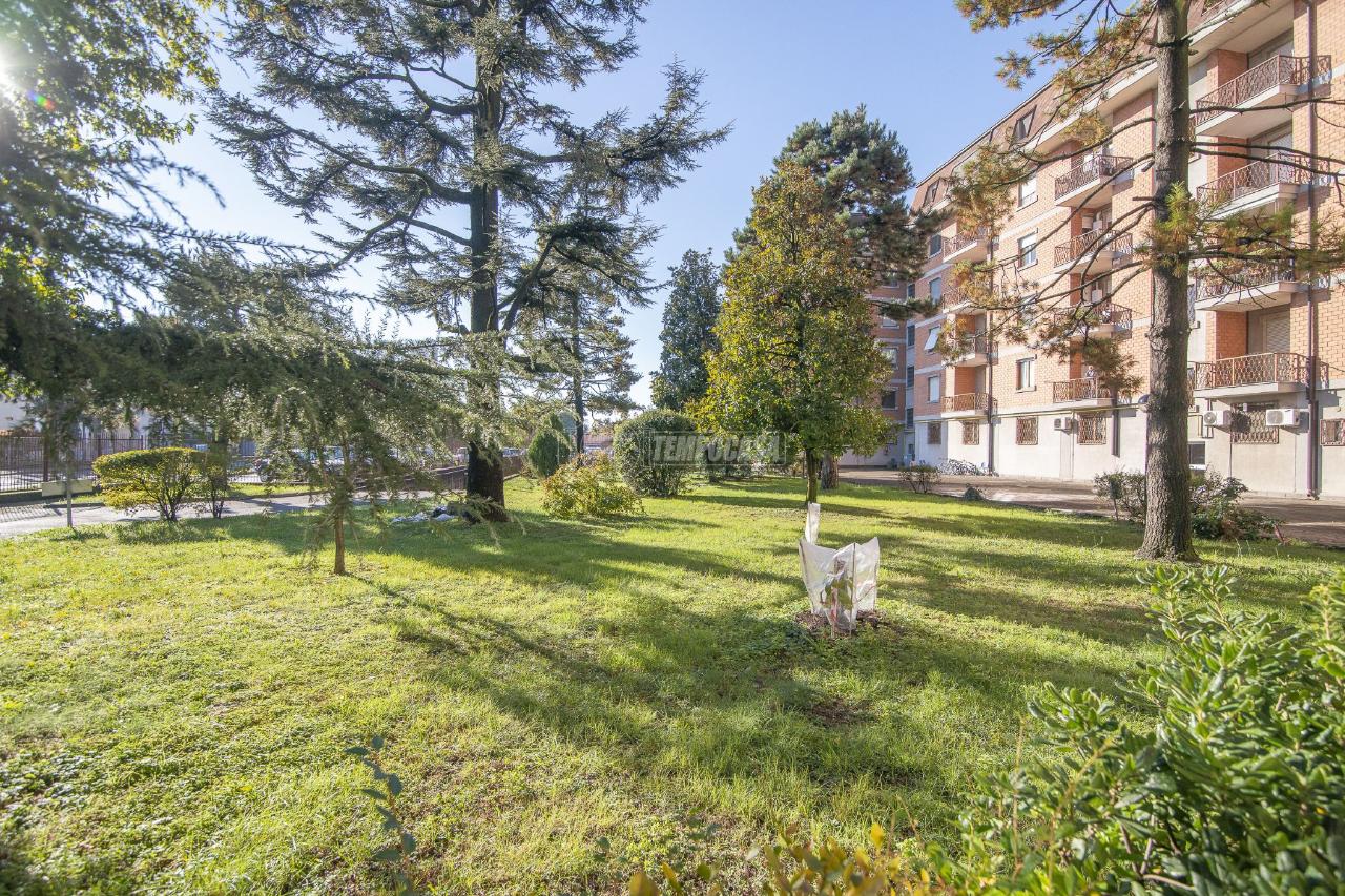 Trilocale, Canonica d'Adda