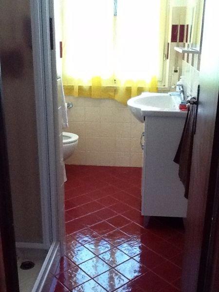 Appartamento in affitto a Rosignano Marittimo