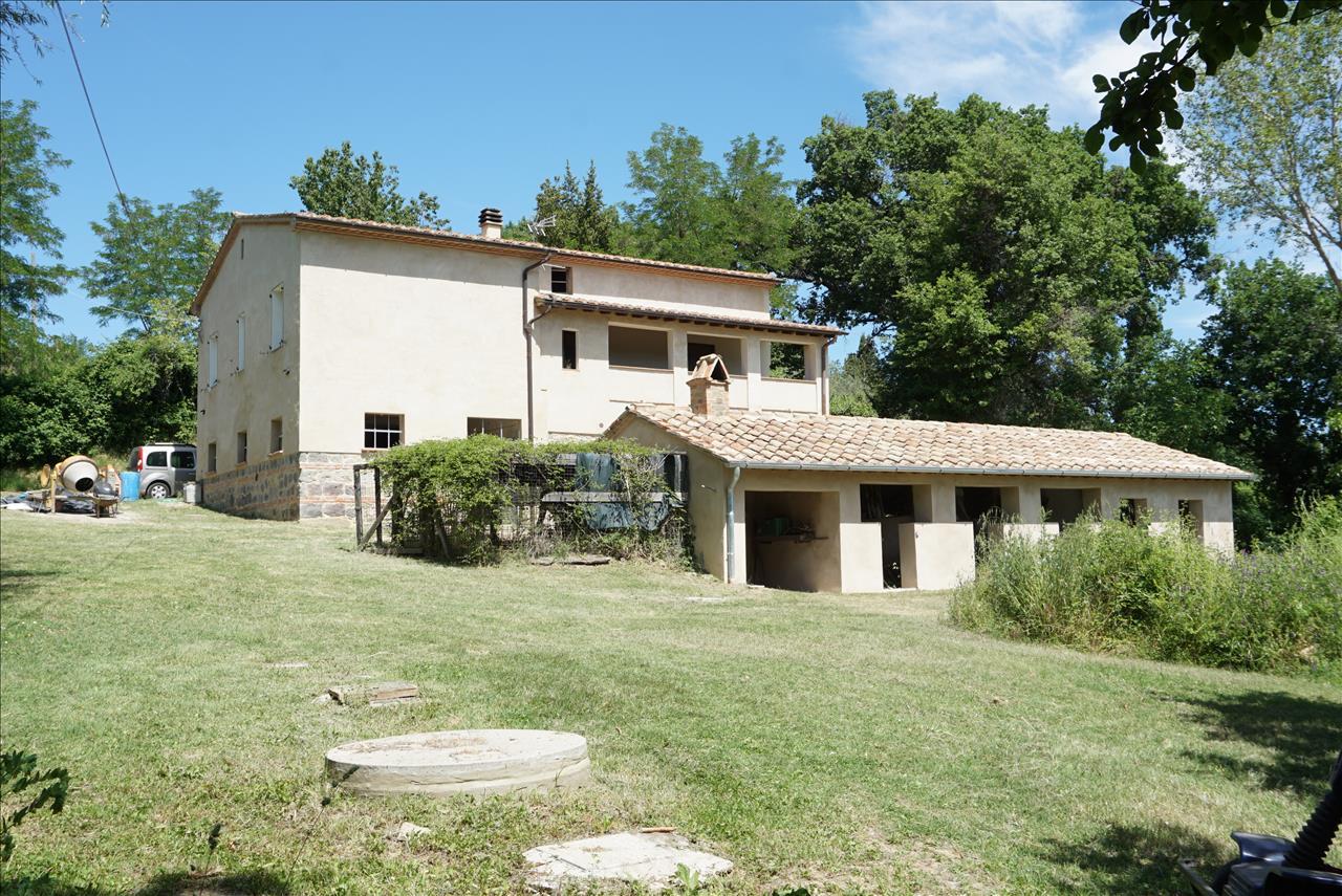 Azienda agricola in vendita a Radicofani