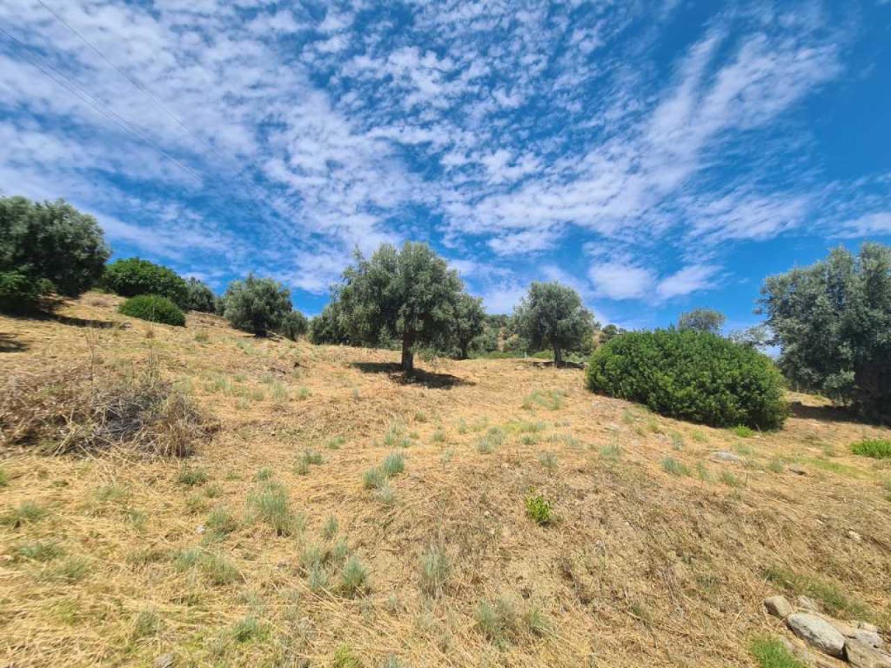 Terreno agricolo in vendita a Corigliano-Rossano