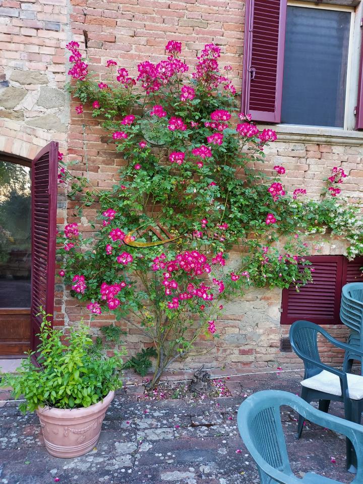 Agriturismo in vendita a Marciano Della Chiana