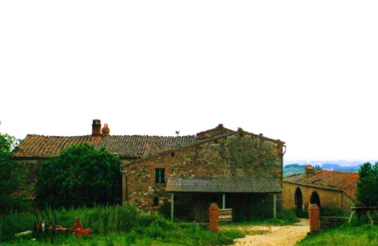 Azienda agricola in vendita a Torrita Di Siena