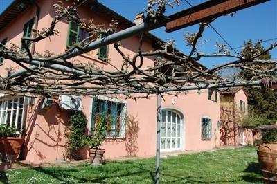 Azienda agricola in vendita a Montescudaio