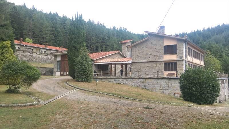 Esercizio commerciale in vendita a Pelago