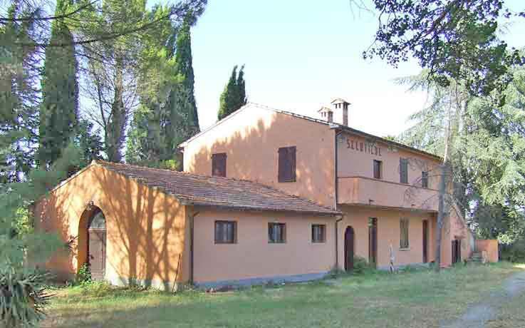 Esercizio commerciale in vendita a Gavorrano