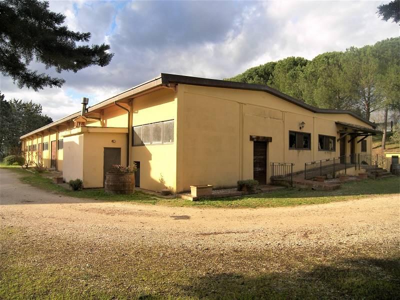 Agriturismo in vendita a Baschi
