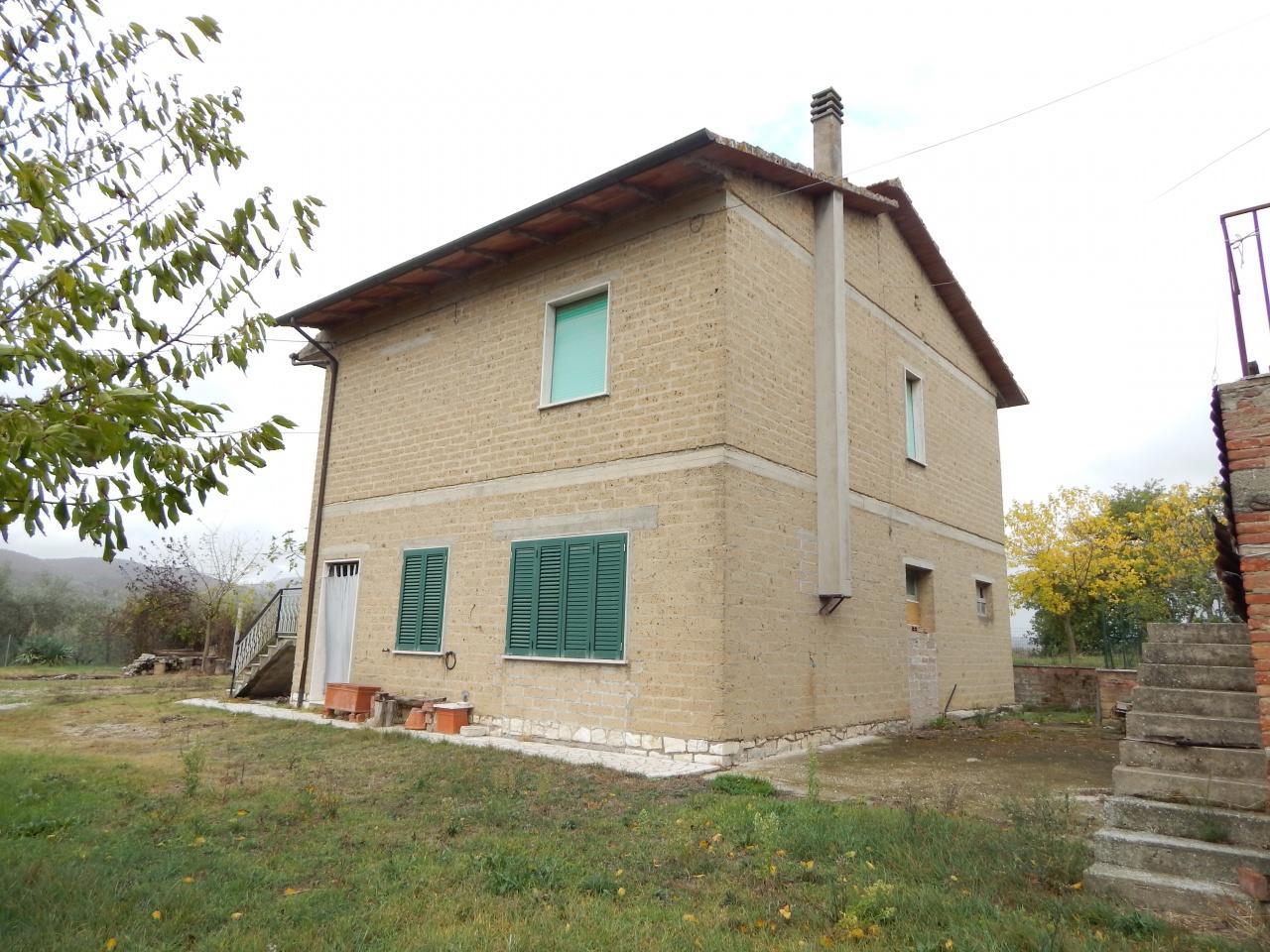Azienda agricola in vendita a Torrita Di Siena