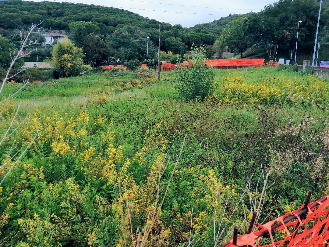 Terreno edificabile residenziale in vendita a Arezzo