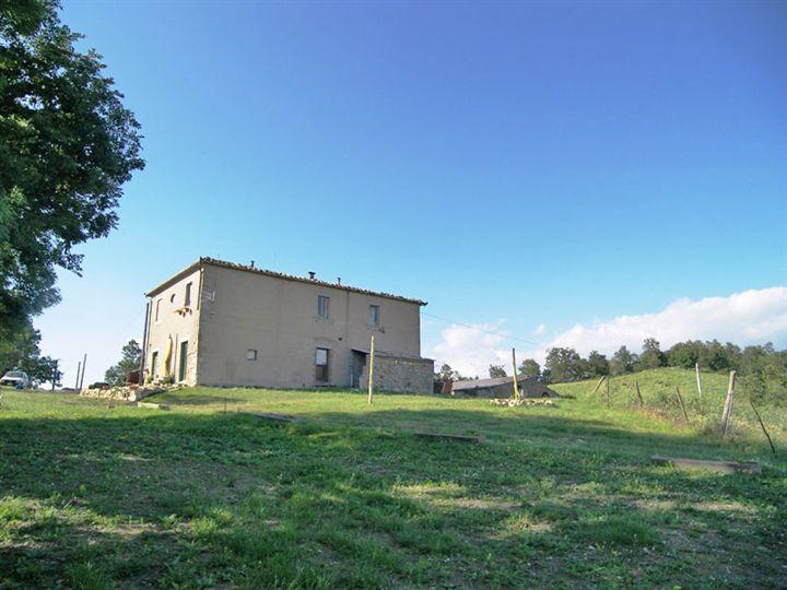 Esercizio commerciale in vendita a Roccalbegna