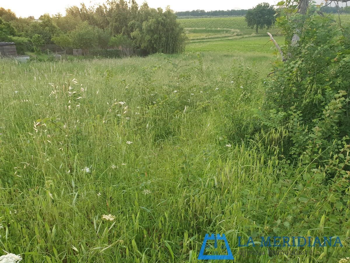 Terreno edificabile residenziale in vendita a Lamporecchio