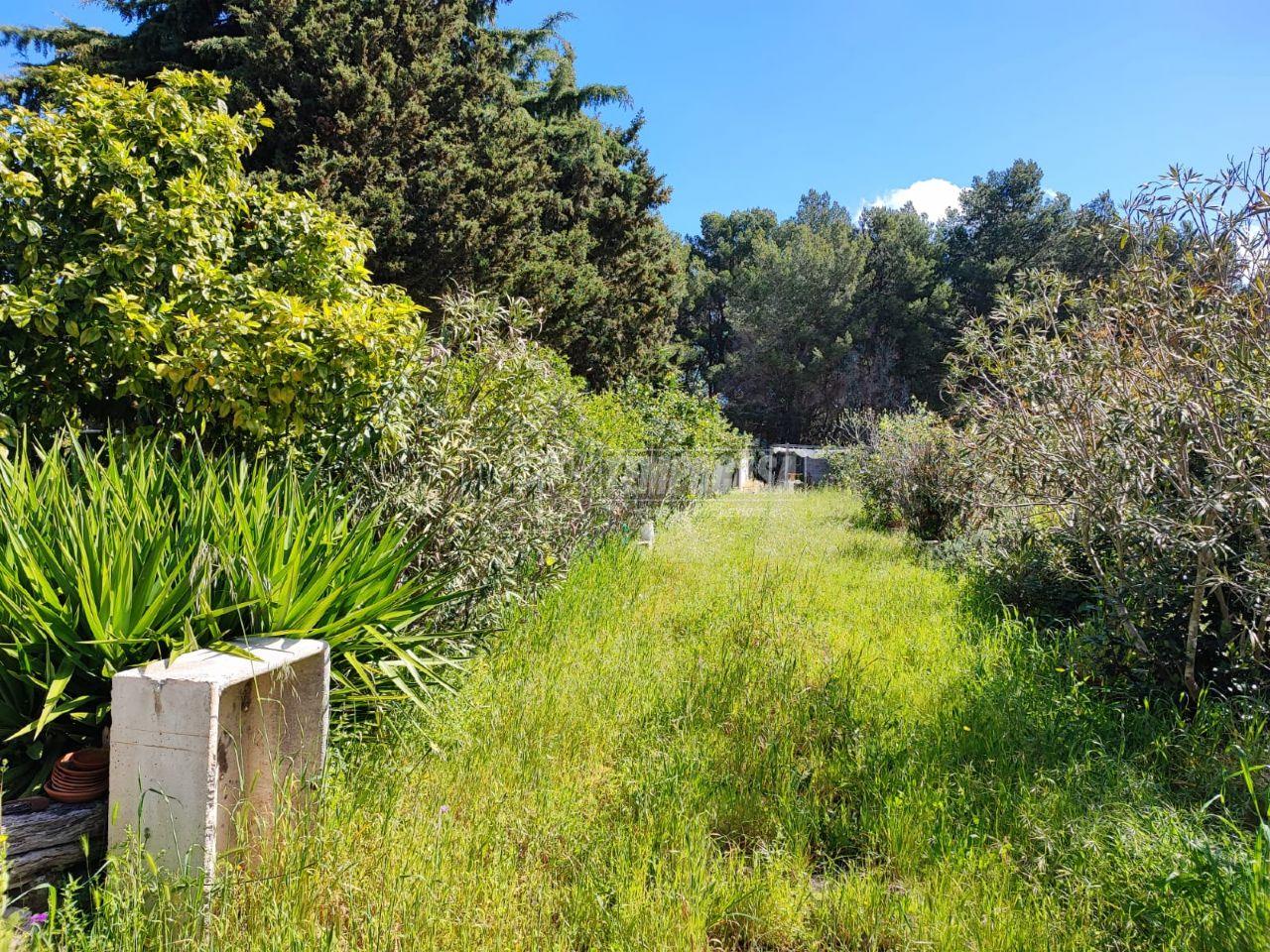 Terreno edificabile in Via delle Acacie, Masseria Grande 13, Lecce