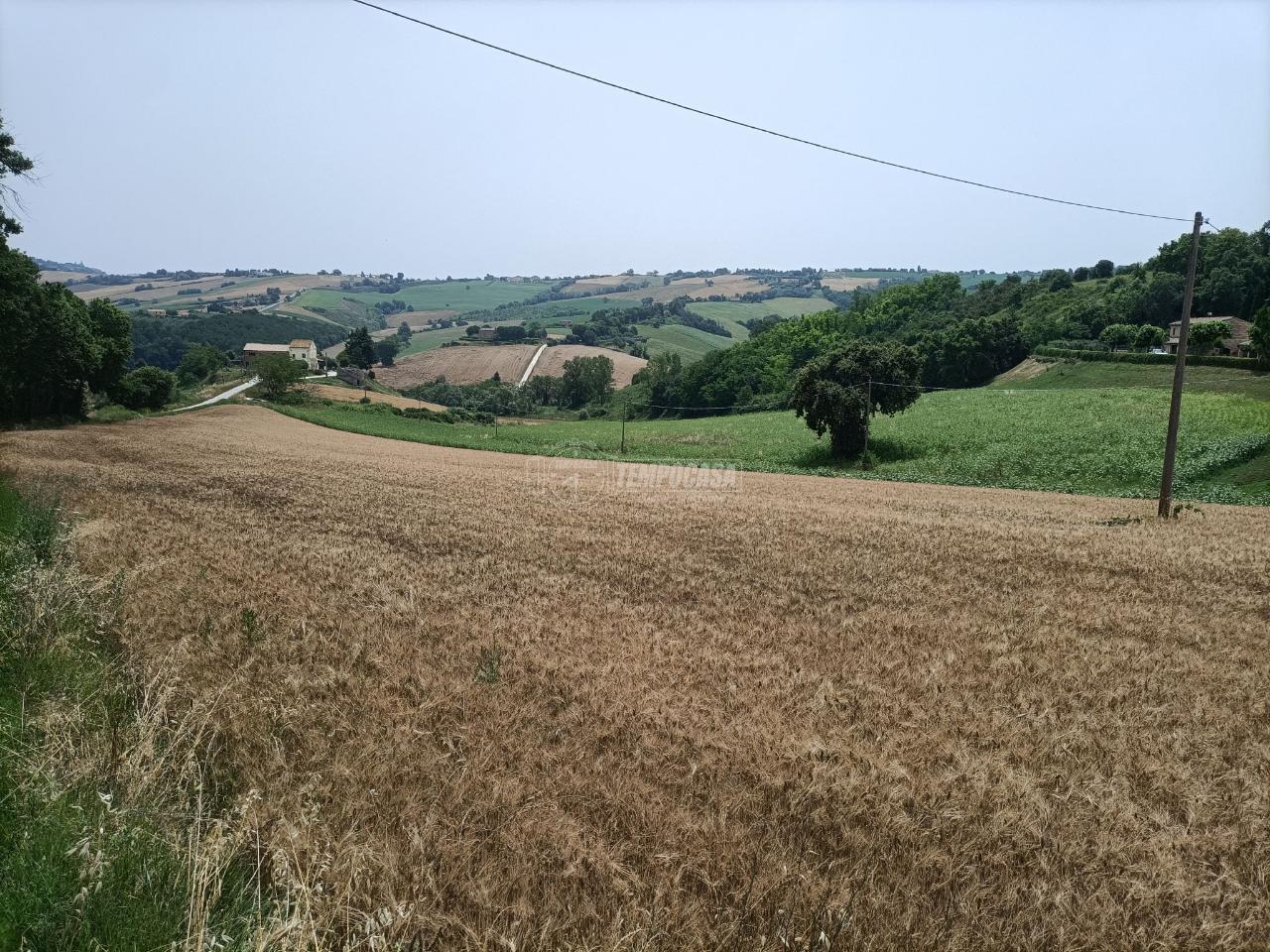 Terreno agricolo in vendita a Montelupone