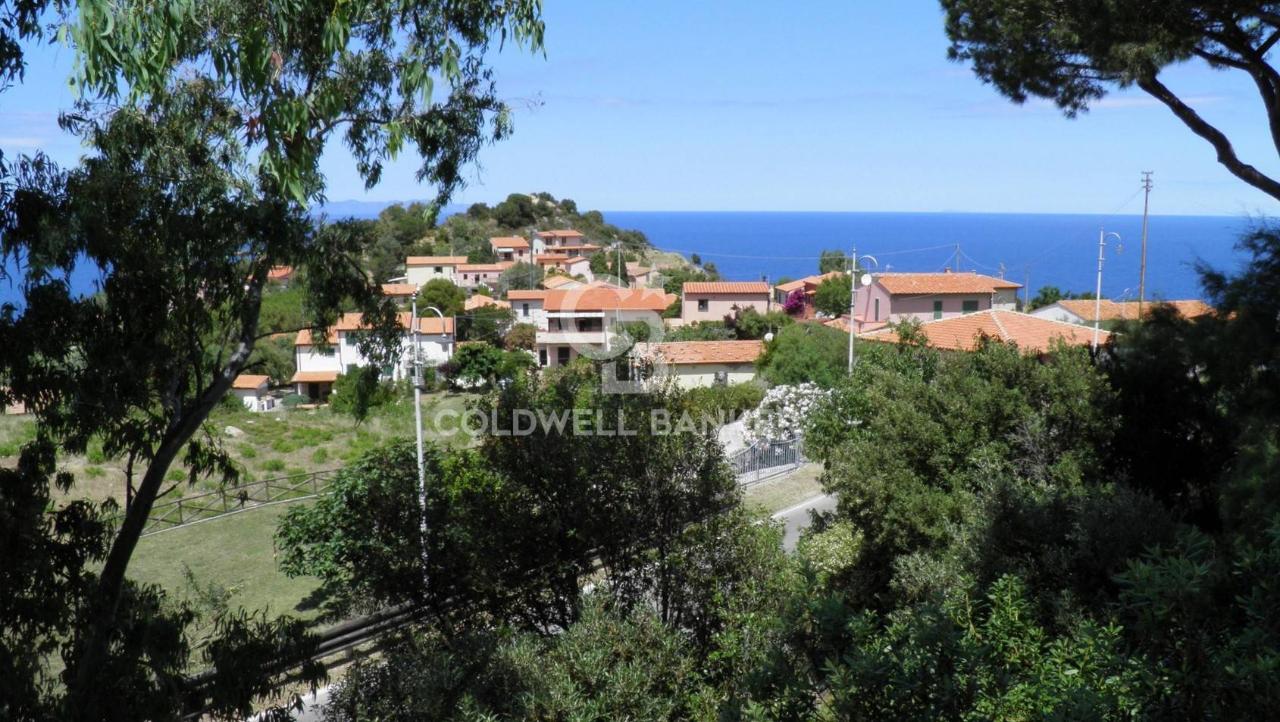 Locale commerciale in vendita a Marciana