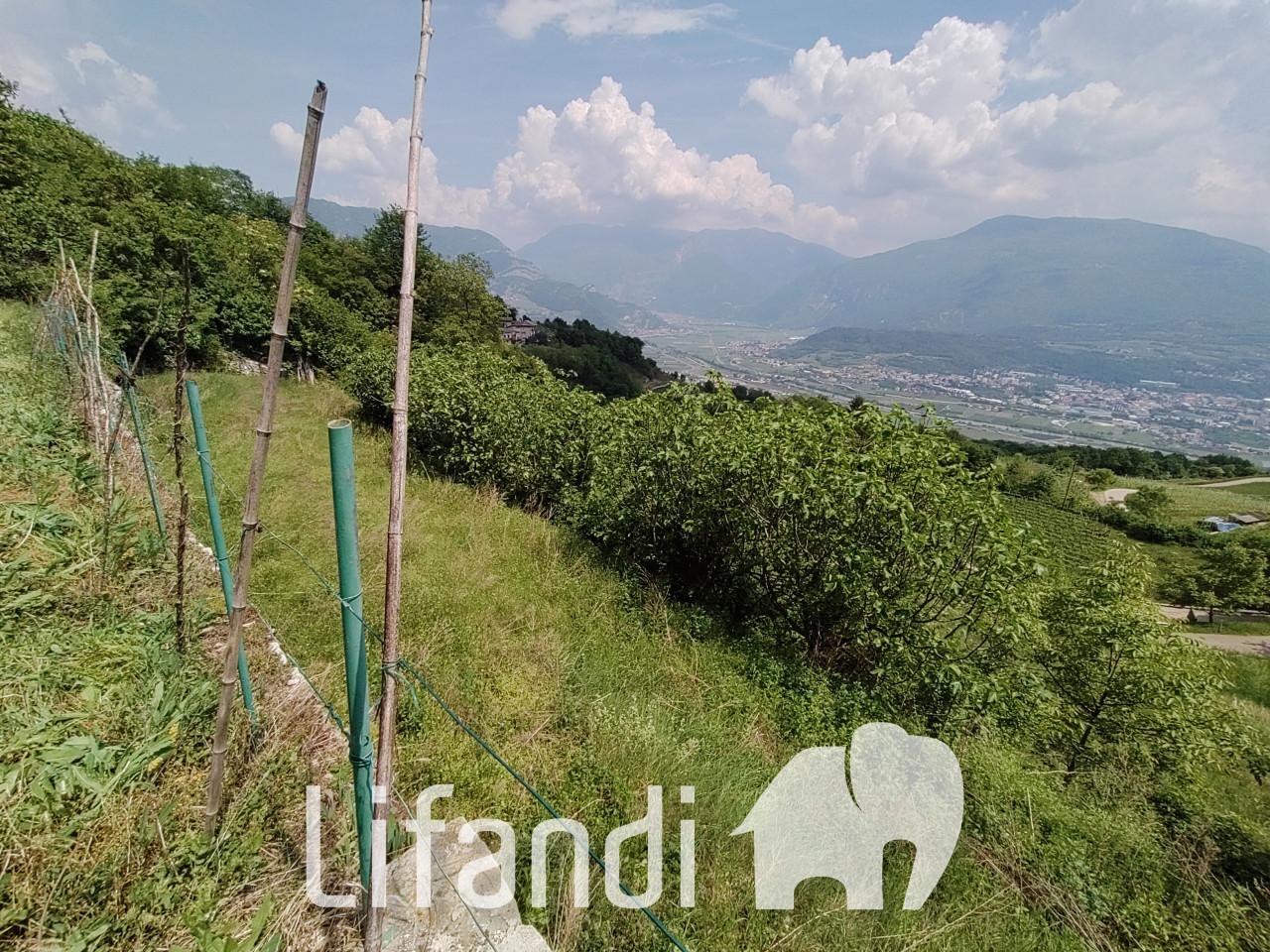 Terreno edificabile residenziale in vendita a Isera