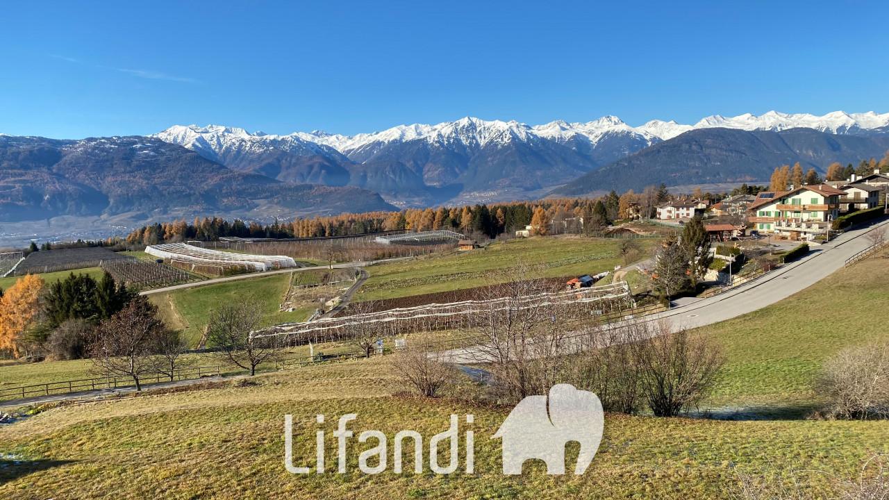 Appartamento in vendita a Predaia