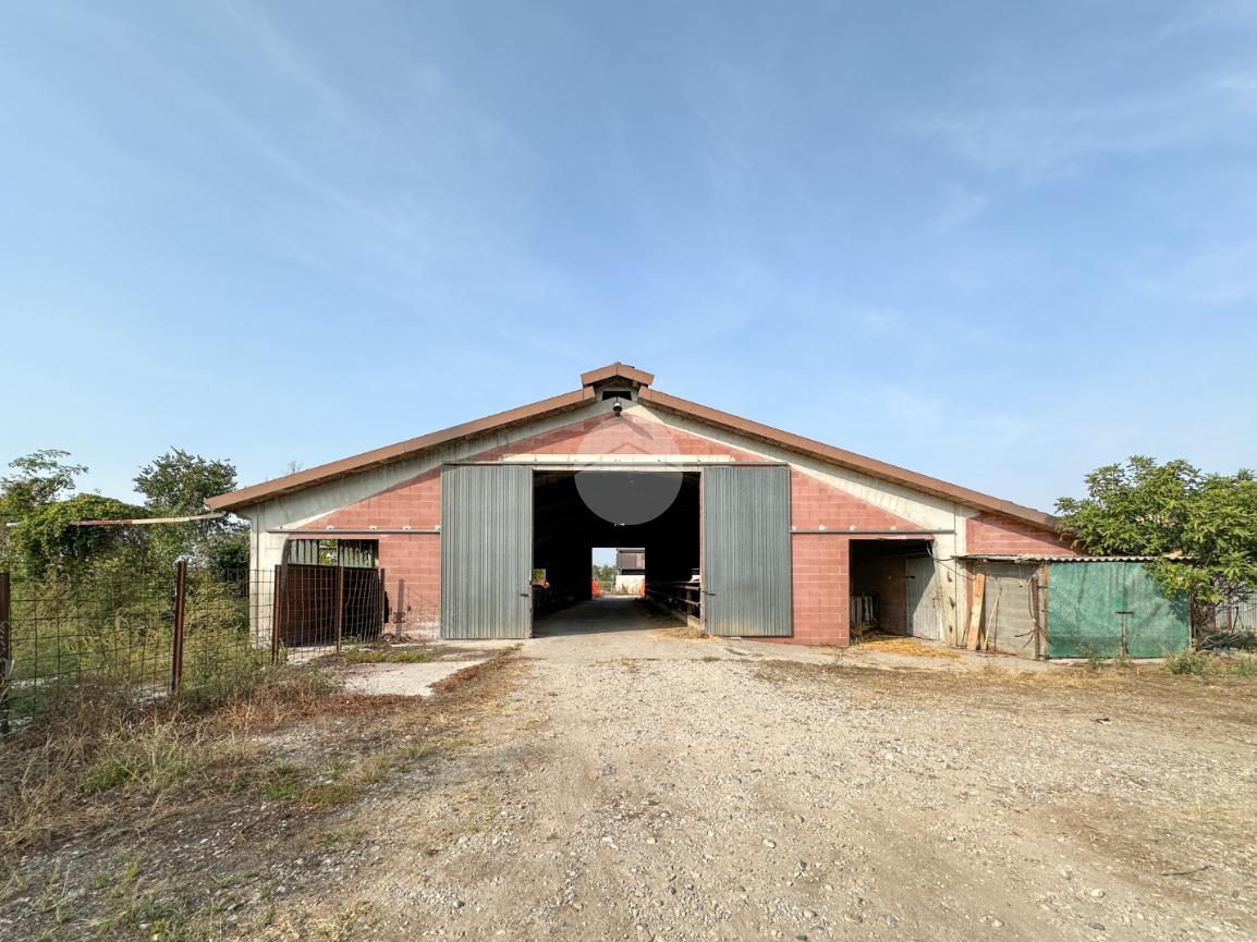 Capannone in vendita a Carpenedolo