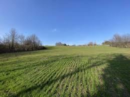 Terreno agricolo in vendita a Cervarese Santa Croce