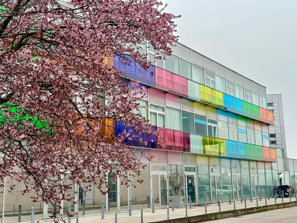 Laboratorio in affitto a Zane'