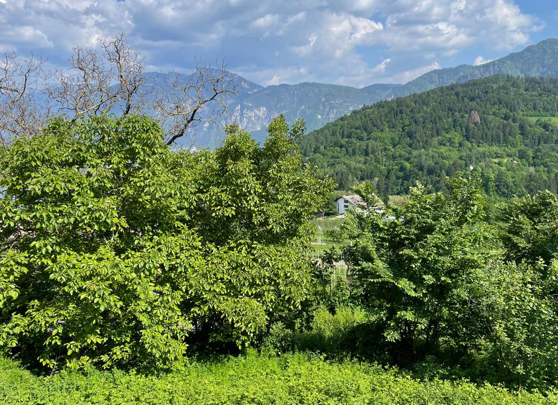 Terreno edificabile residenziale in vendita a Altopiano della Vigolana