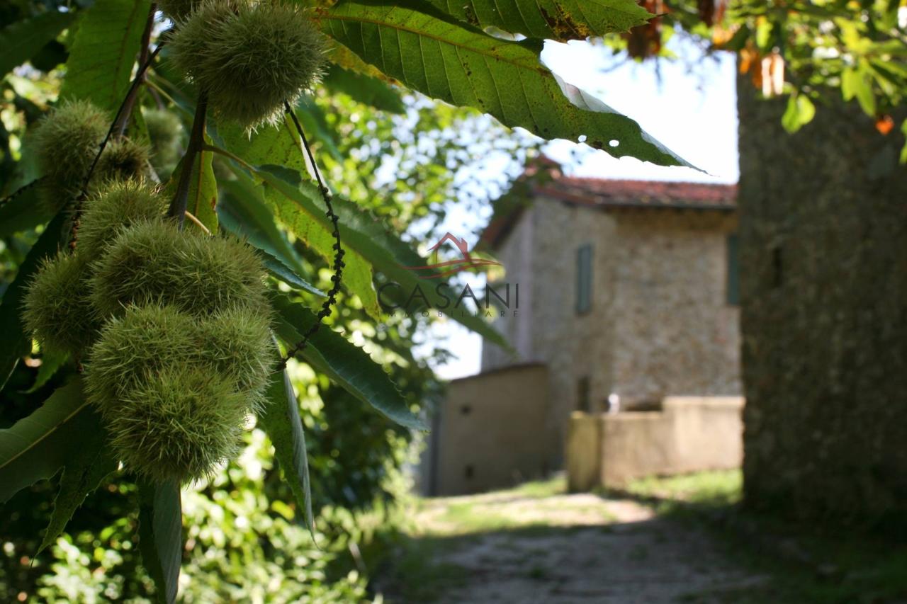 Casa indipendente in vendita a Camaiore