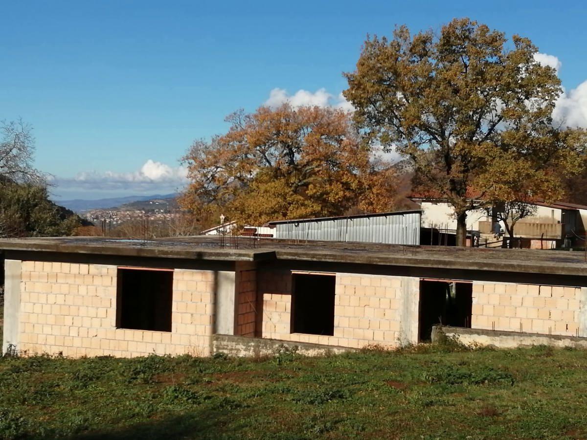 Magazzino in vendita a Bassiano