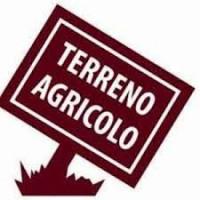 Terreno agricolo in vendita a Adria