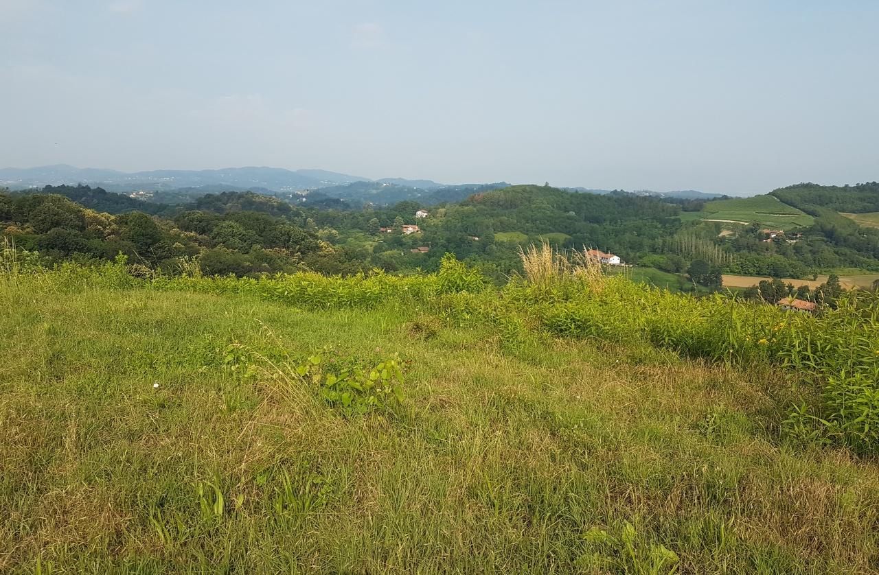 Terreno agricolo in vendita a Cinzano