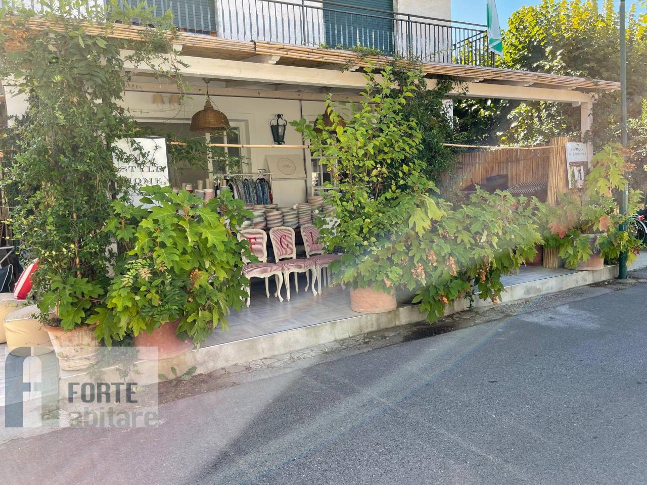 Negozio in vendita a Forte Dei Marmi