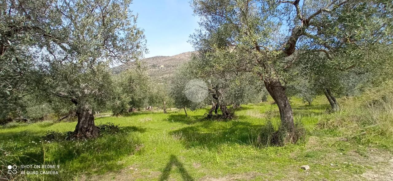 Terreno edificabile in vendita a Tivoli