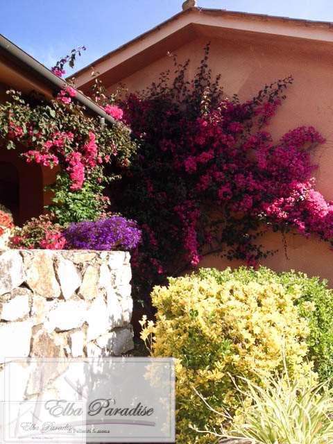 Appartamento in vendita a Portoferraio