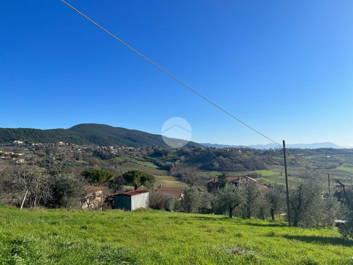 Terreno edificabile in vendita a Calvi Dell'Umbria