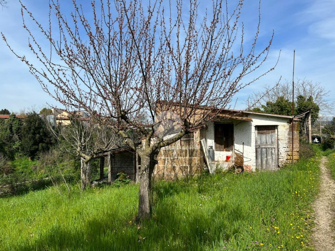 Rustico in vendita a Otricoli