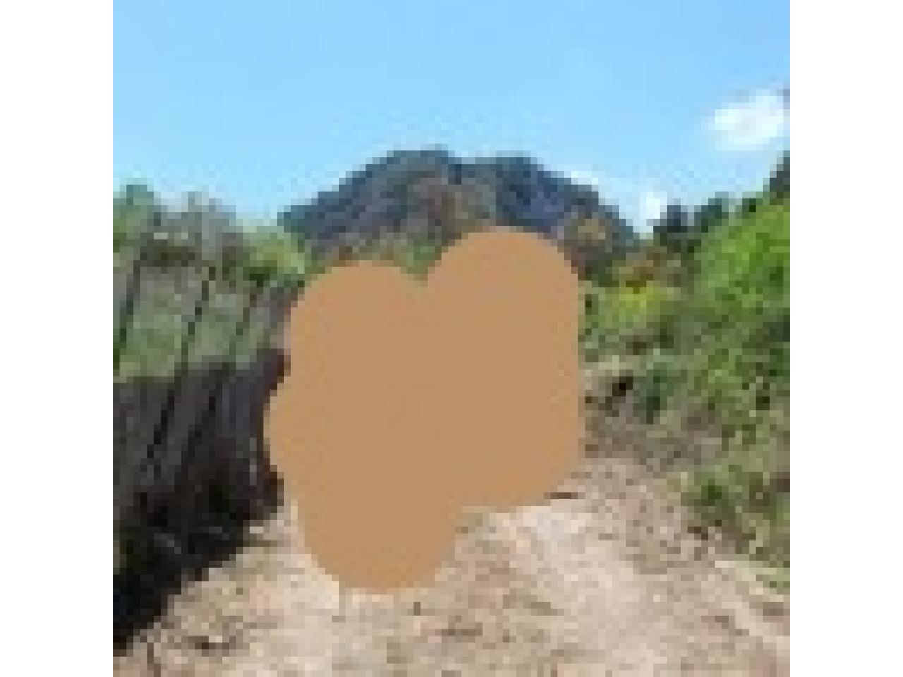 Terreno edificabile in vendita a Monreale