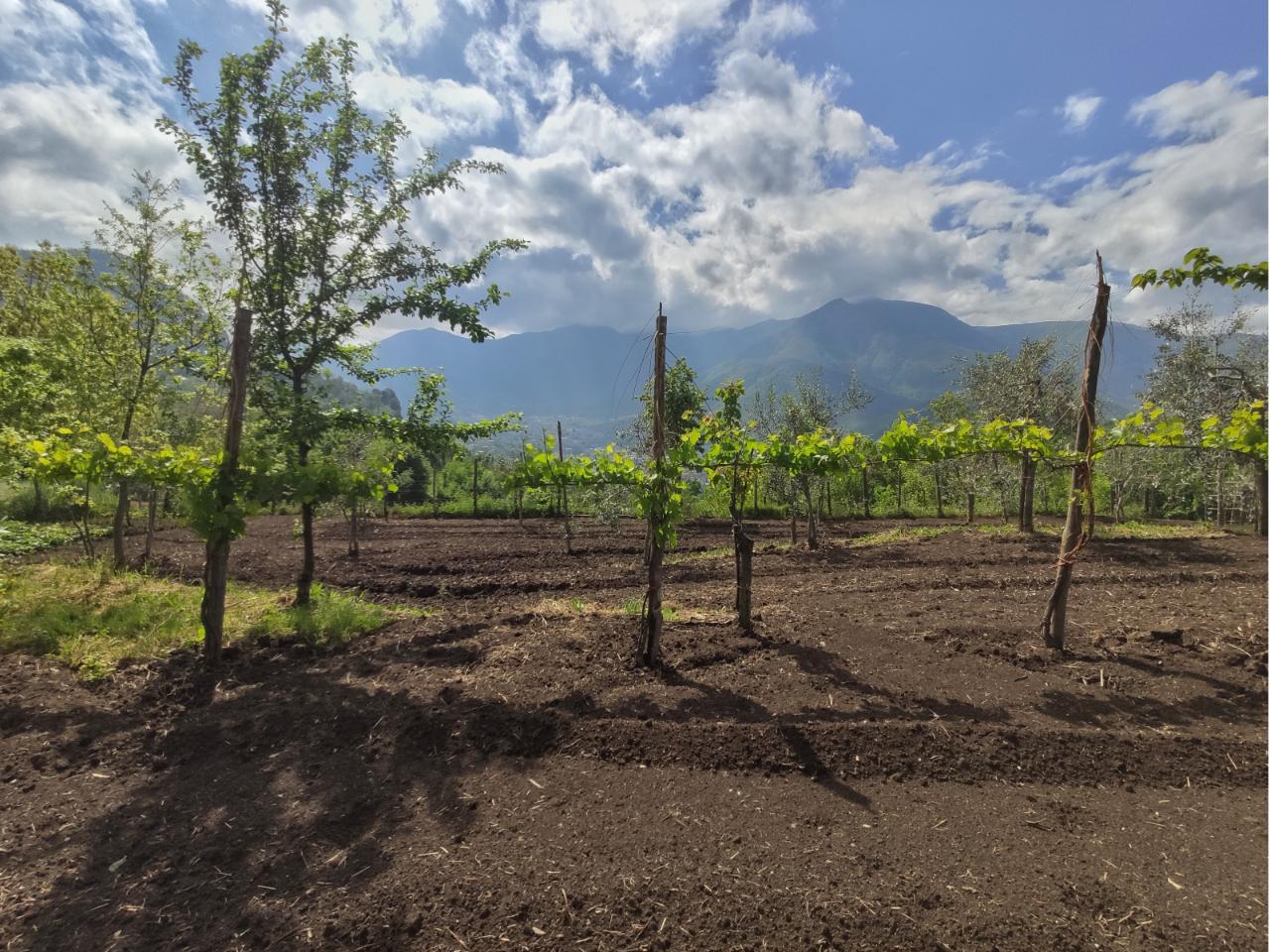 Terreno agricolo in vendita a Solofra