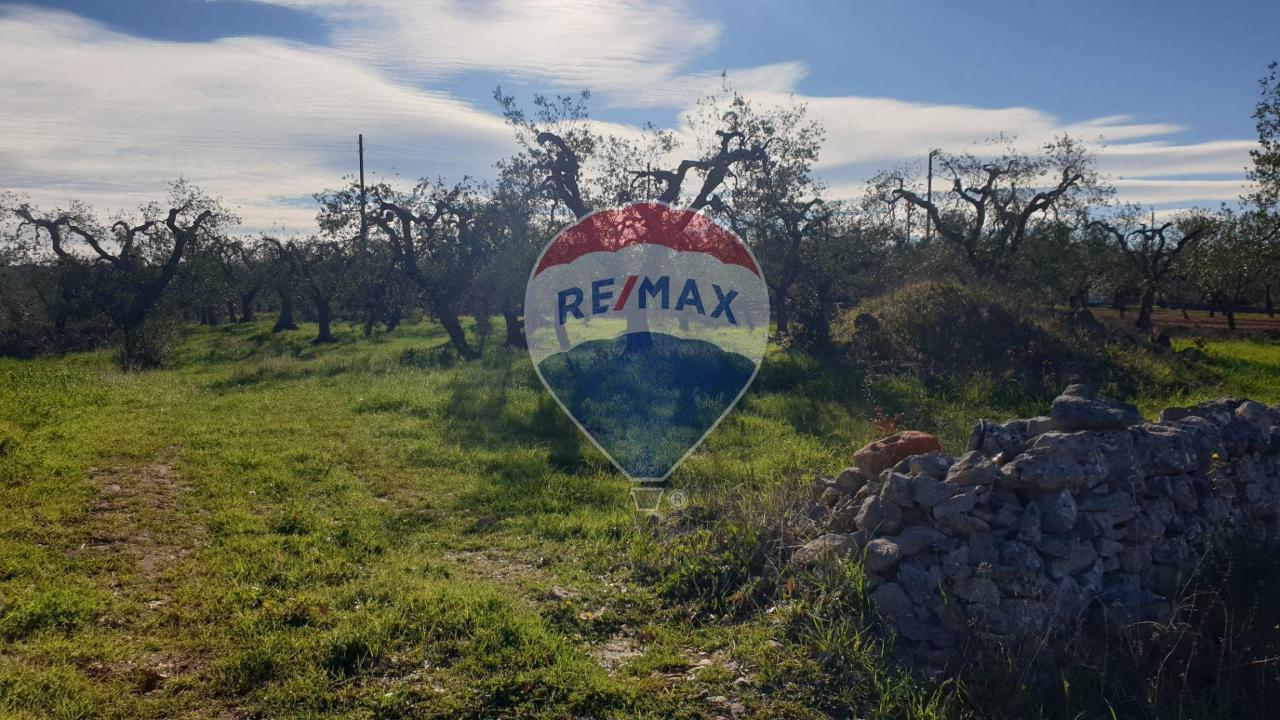 Terreno edificabile in vendita a Monopoli