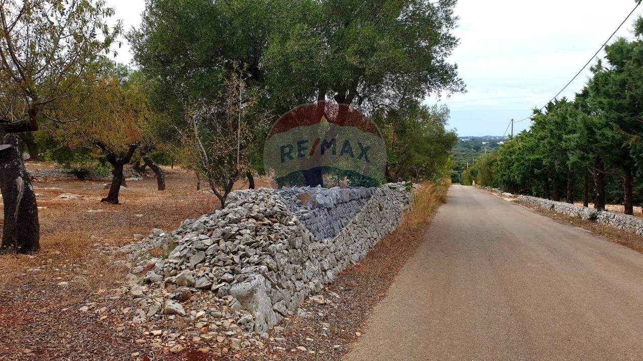 Terreno agricolo in vendita a Monopoli