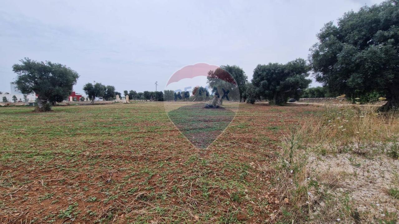 Terreno edificabile in vendita a Fasano
