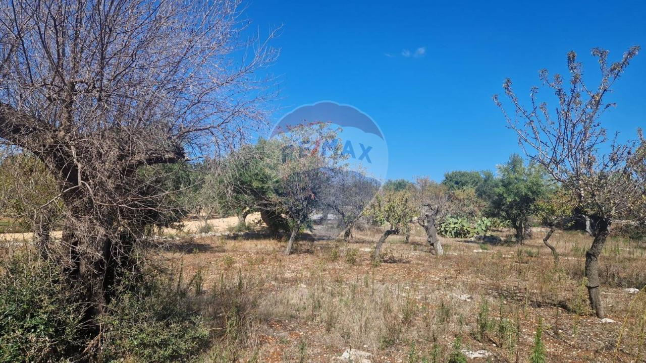 Terreno agricolo in vendita a Monopoli