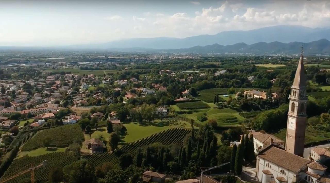 Negozio in affitto a Montebelluna