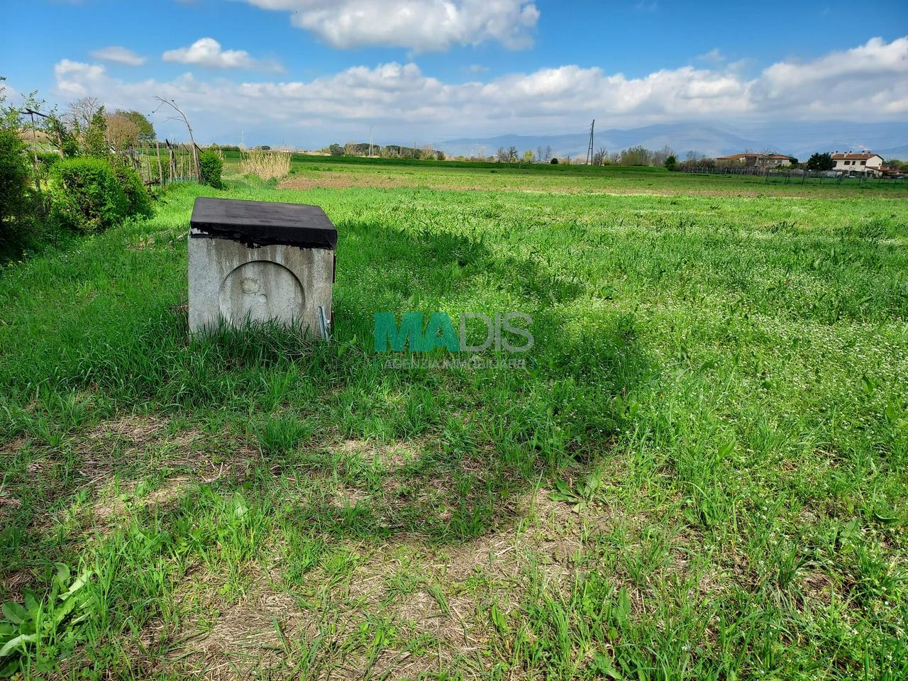 Terreno agricolo in vendita a Prato