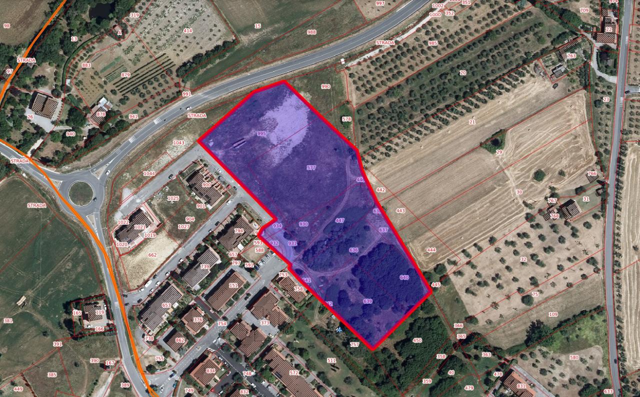 Terreno agricolo in vendita a Pienza