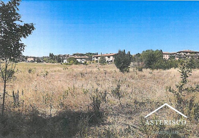Terreno edificabile in vendita a Asciano