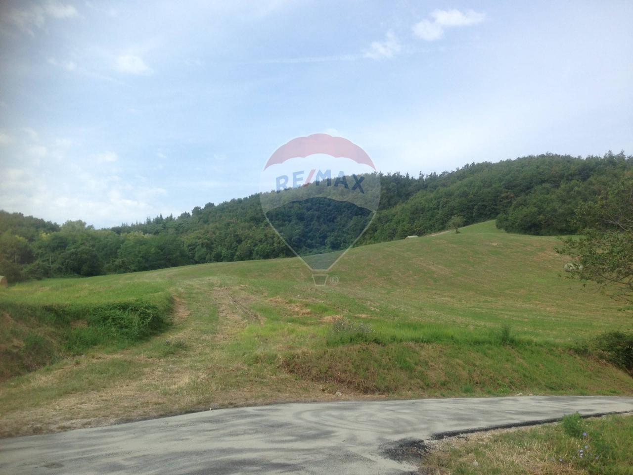 Terreno agricolo in vendita a Langhirano