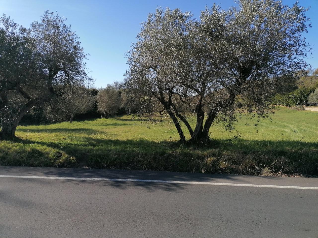 Terreno edificabile residenziale in vendita a Sorano