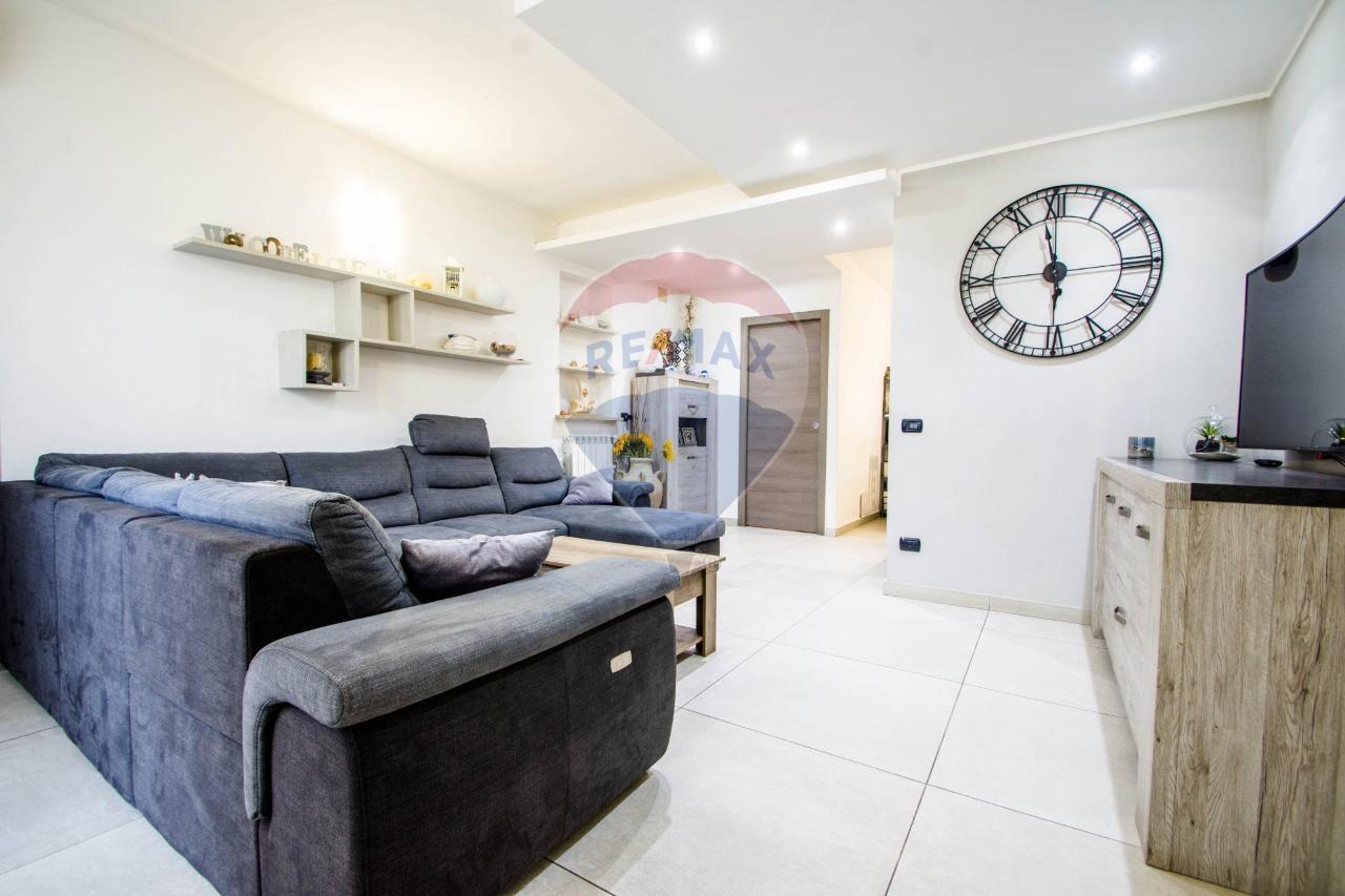 Villa a schiera, Borgo Ticino