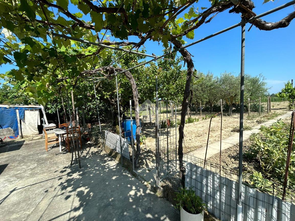 Terreno agricolo in vendita a Ravenna